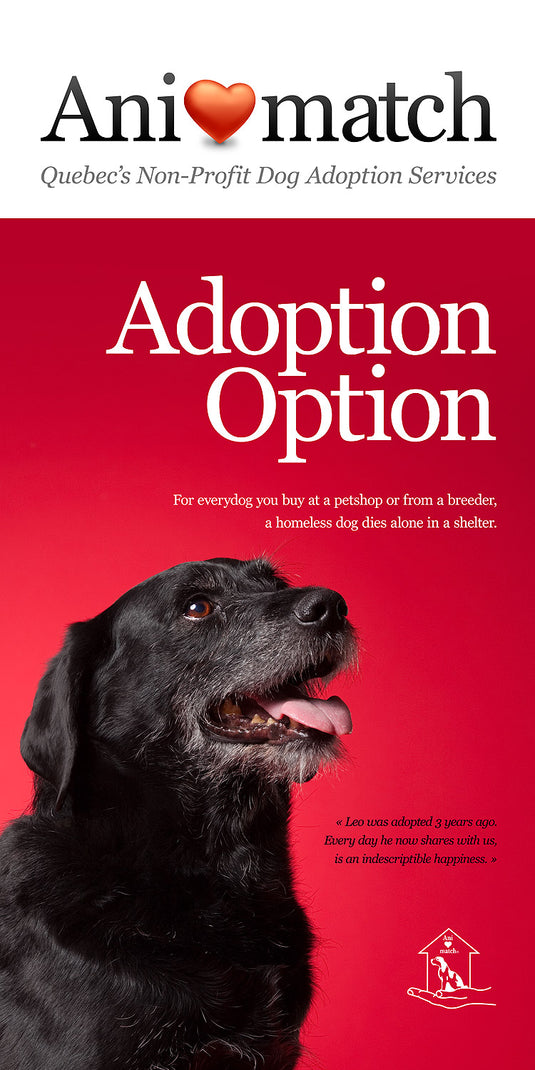 About Animatch – Animatch.ca Dog Adoption